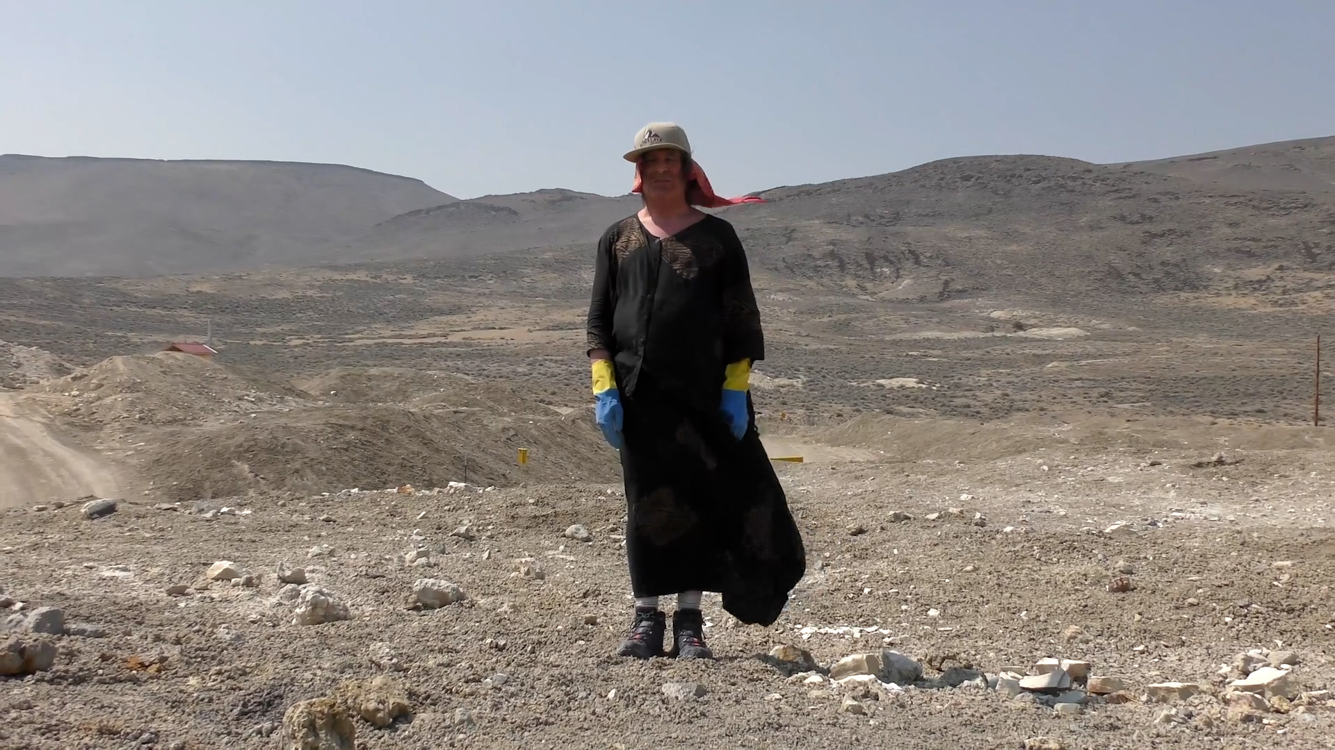 First Cut — Dear Shannon